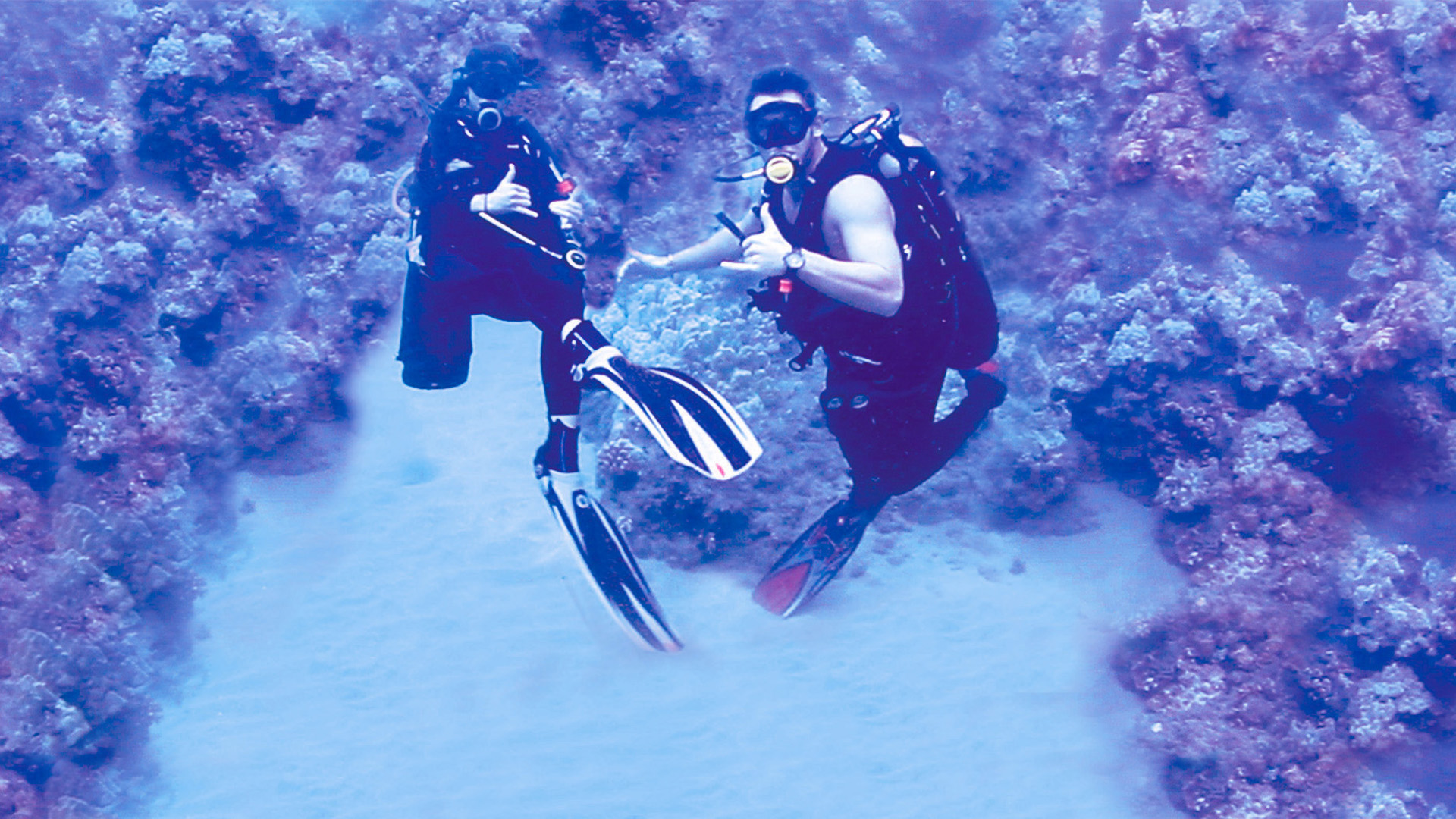 Beach Buddy – Innovative Dive Gear making Scuba Diving fun and easy!